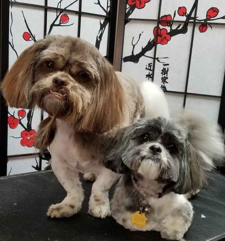Happy Paws Grooming Salon – DogRb